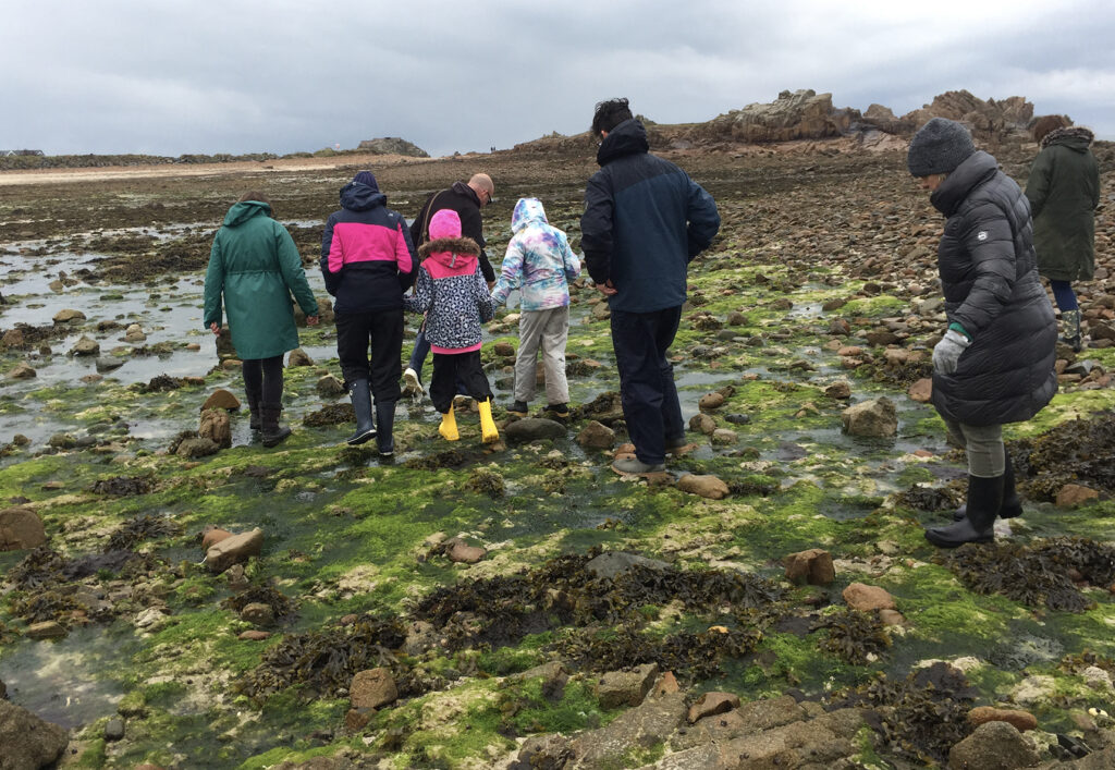 Fragile Guernsey | Organisations