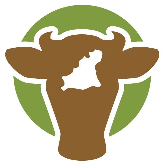 Fragile Guernsey | Organisations