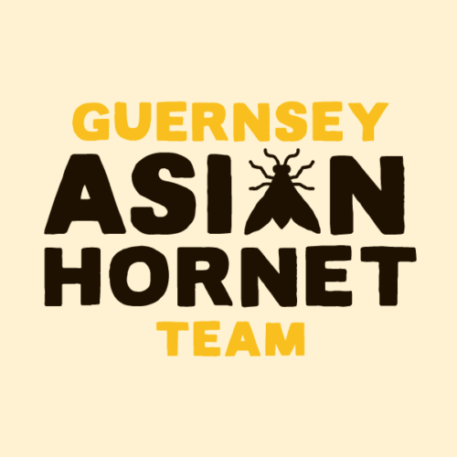 Fragile Guernsey | Organisations