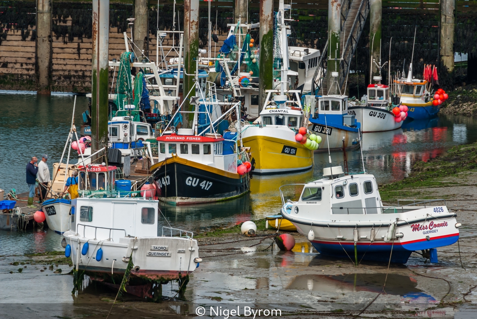 Fragile Guernsey | Guernsey Photos