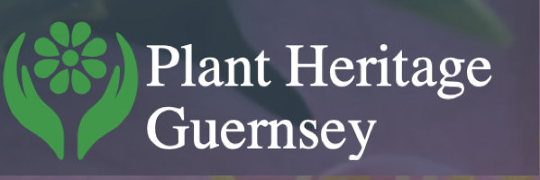 Fragile Guernsey | Organisations