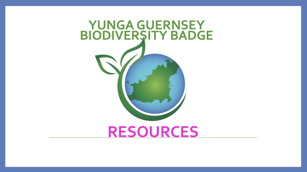 Fragile Guernsey | YUNGA Guernsey