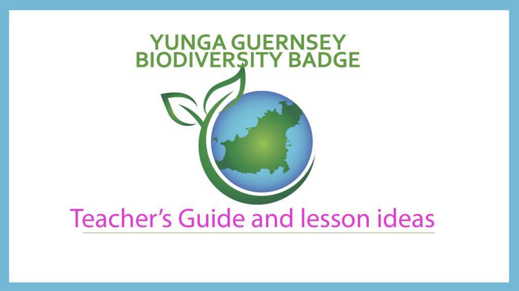 Fragile Guernsey | YUNGA Guernsey